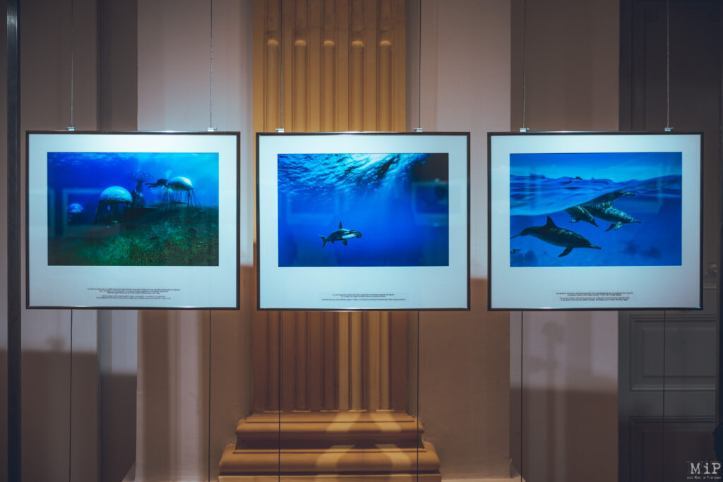 Visa pour l'Image l Alexis Rosenfeld documente les océans avec l'Unesco