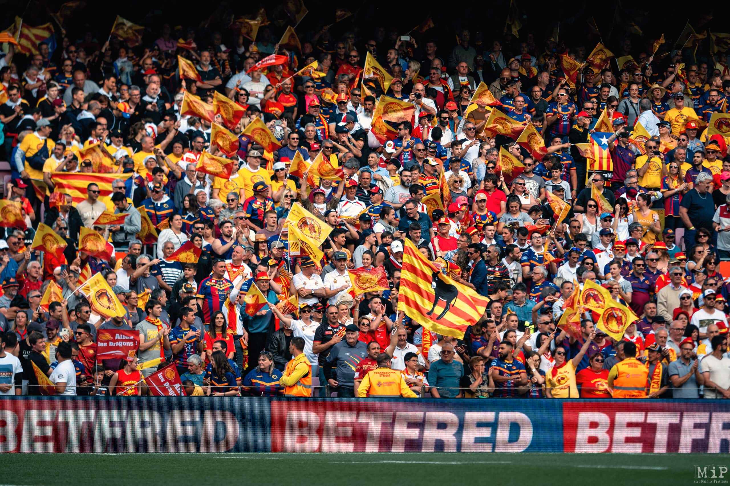 Català | Acord entre Plataforma per la Llengua i els Dracs Catalans